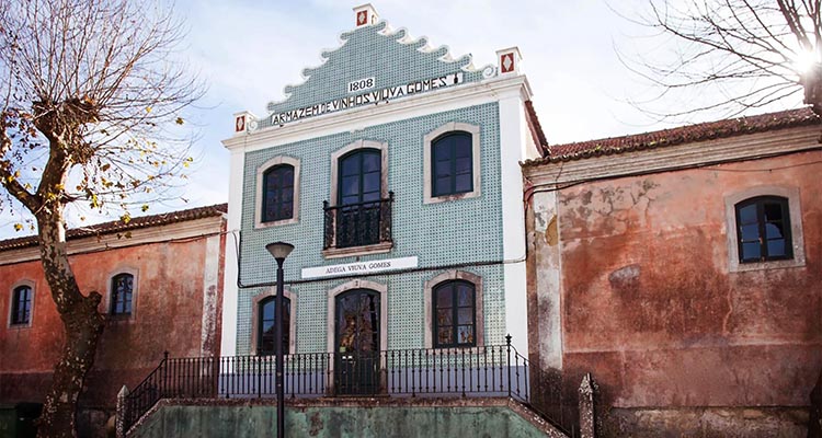 2 – Discovering the sandy soil vineyards and the DOC Colares Wine ...